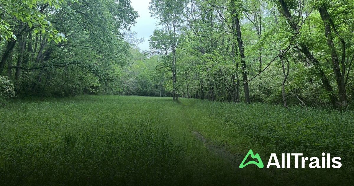 Best hikes and trails in Hidden Springs State Forest | AllTrails