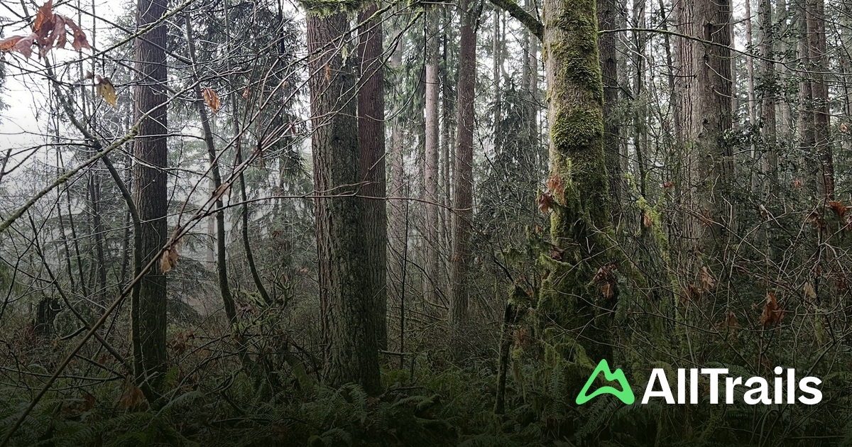 Best hikes and trails in Lee Memorial Forest | AllTrails