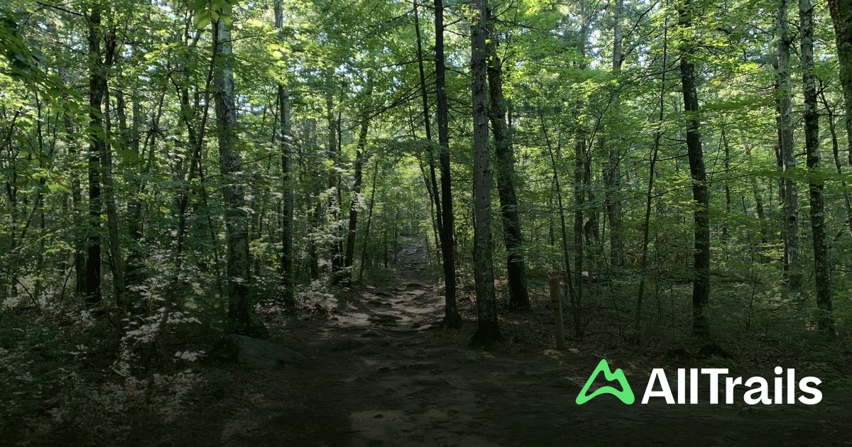 Best hikes and trails in Deneen Conservation Area | AllTrails