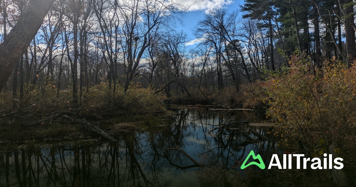 I migliori sentieri di osservazione della flora selvatica in Merriam ...