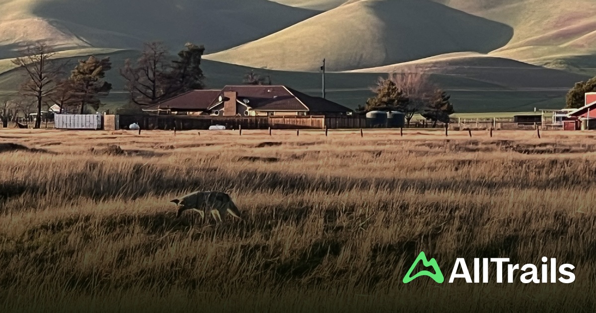 Best hikes and trails in Springtown Wetlands Preserve | AllTrails