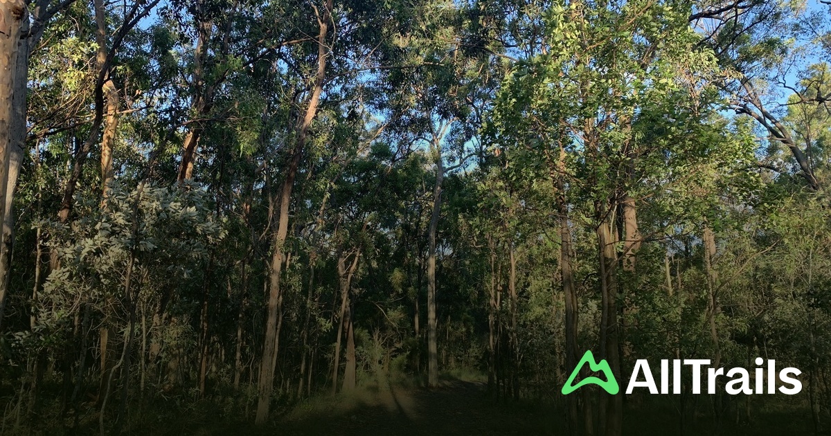 Best hikes and trails in Kuraby Bushlands | AllTrails
