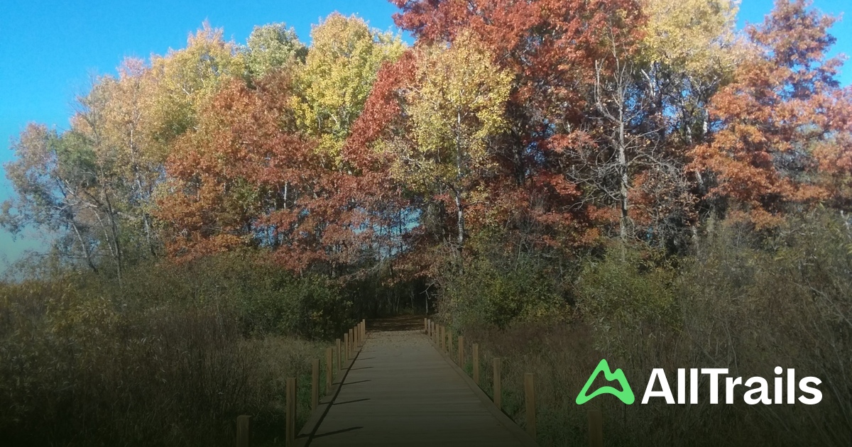 Best hikes and trails in Young Park | AllTrails