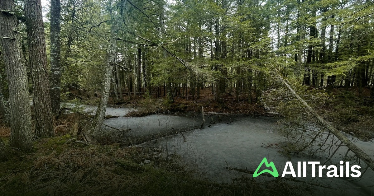 Best hikes and trails in Big Knob State Forest Campground | AllTrails