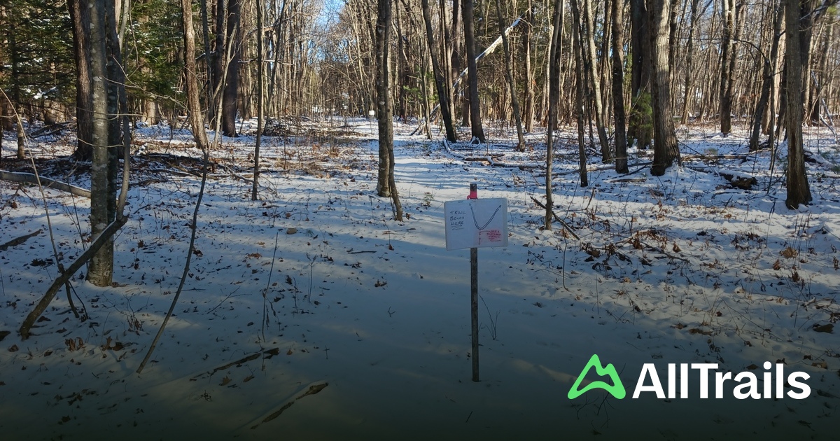 Best hikes and trails in North Deering Park | AllTrails