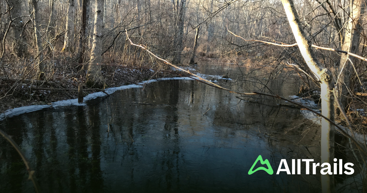 Best hikes and trails in Mortimer Wright Nature Preserve | AllTrails