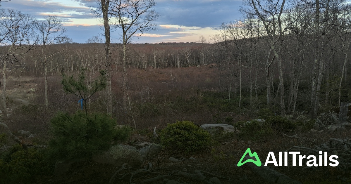 De beste routes om te vogelen in Avery Farm Preserve and Candlewood ...