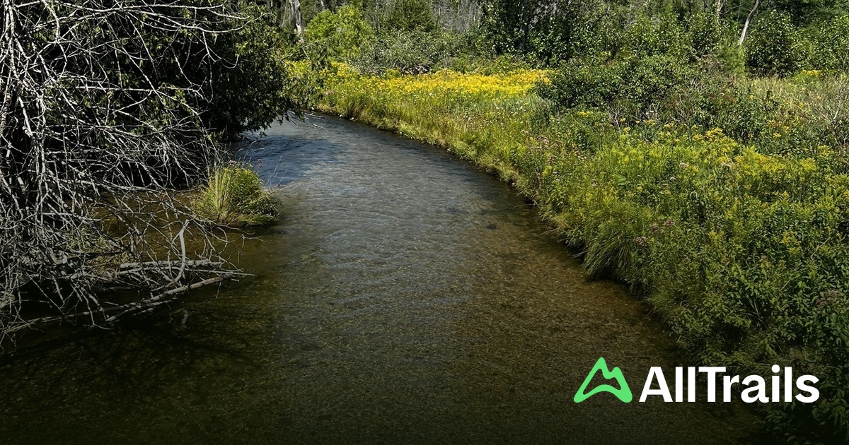 Best short trails in Cedar River Natural Area | AllTrails