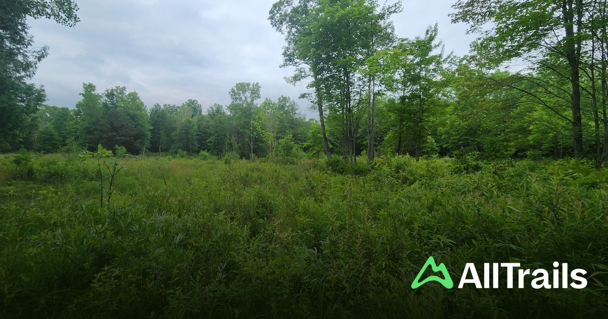 Best hikes and trails in Sibley Prairie Nature Preserve - West Prairie ...