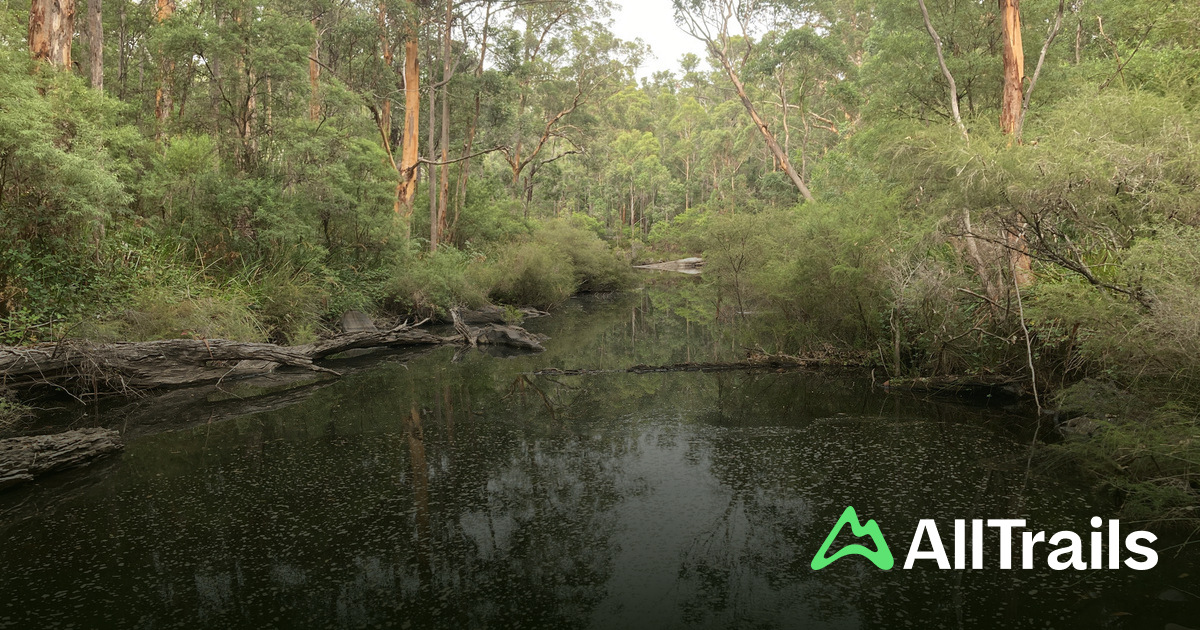 Best hikes and trails in Gordon State Forest | AllTrails