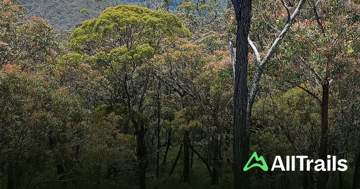 Best hikes and trails in Jellore Flora Reserve | AllTrails