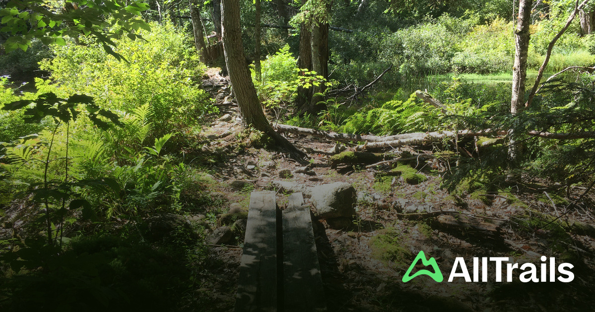 Best hikes and trails in Frank Bolles Preserve | AllTrails
