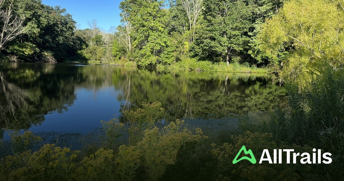 Best hikes and trails in Billy Johnson Mountain Lakes Nature Preserve ...