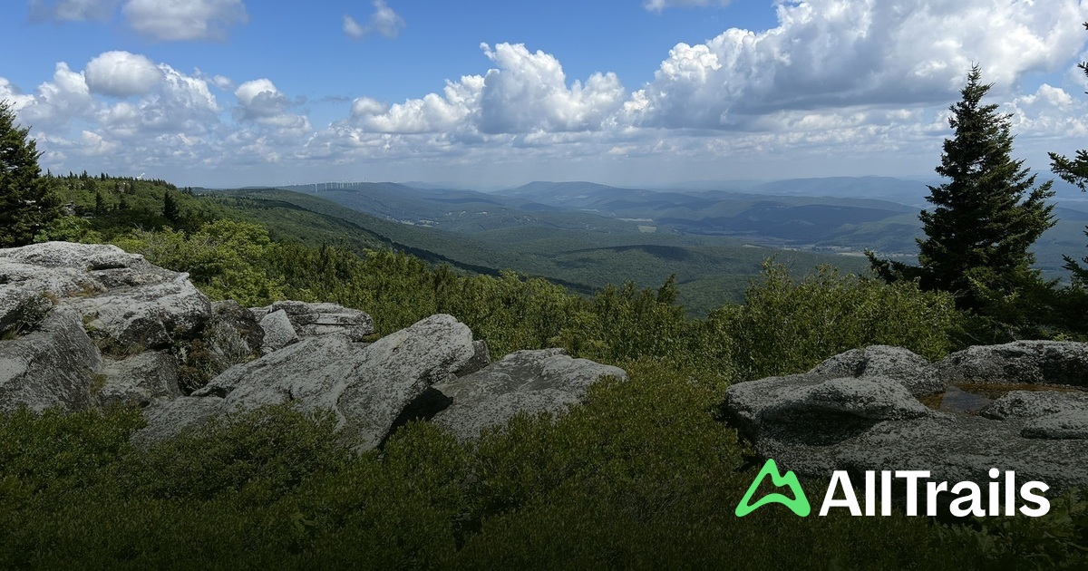 Best hikes and trails in Bear Rocks Preserve | AllTrails