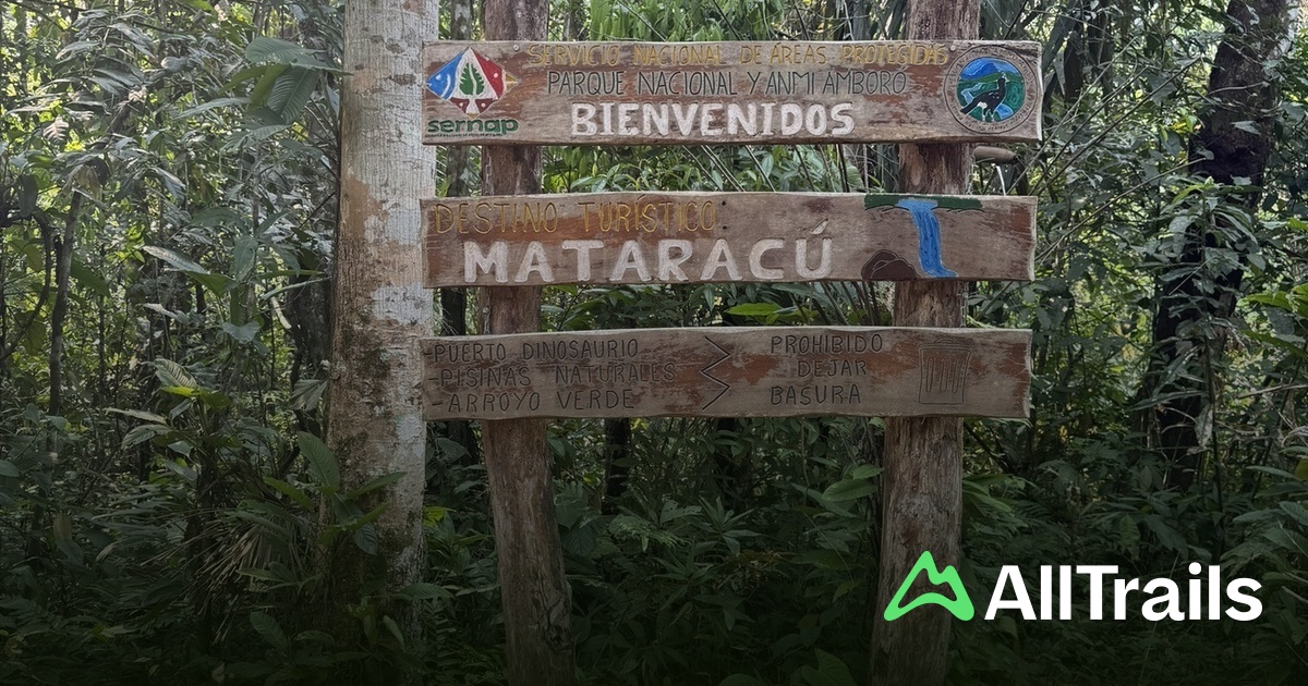 Best hikes and trails in Parque Nacional Amboró | AllTrails