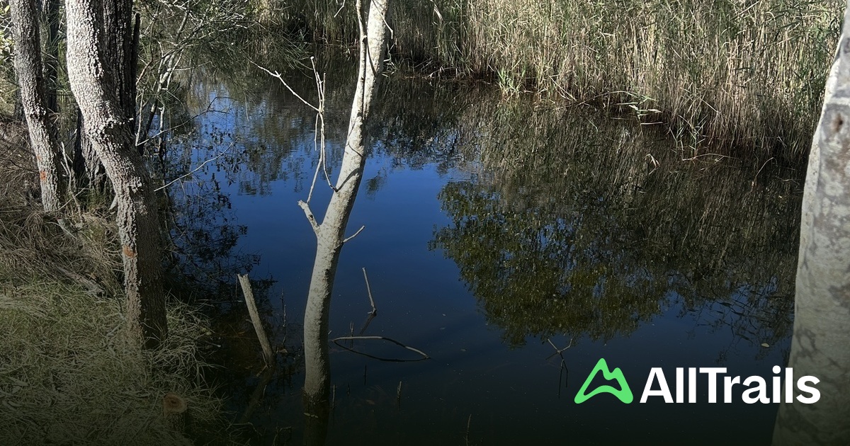 Best hikes and trails in Pimpama River Conservation Area | AllTrails