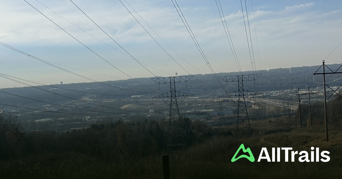 Best trail running trails in Bailey School Forest Park | AllTrails