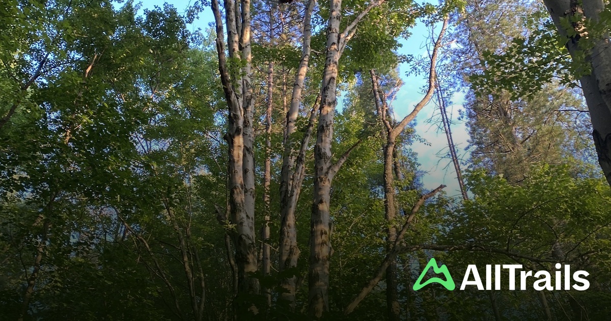 Best hikes and trails in Austintown Township Park | AllTrails