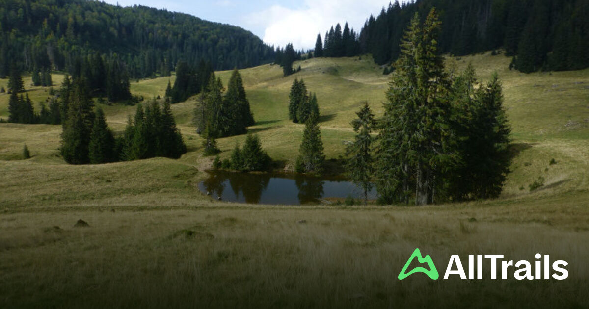 10 Best hikes and trails in Apuseni Nature Park | AllTrails