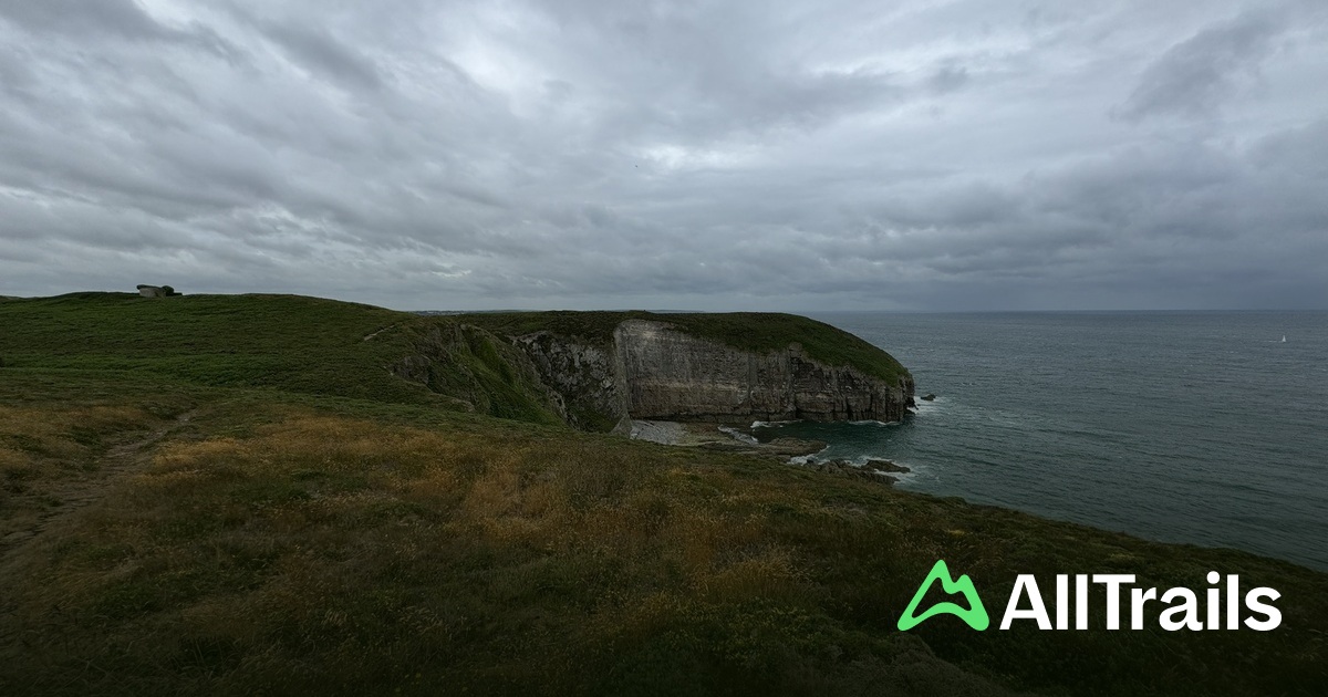 Best bird watching trails in Lande du Cap Fréhel | AllTrails