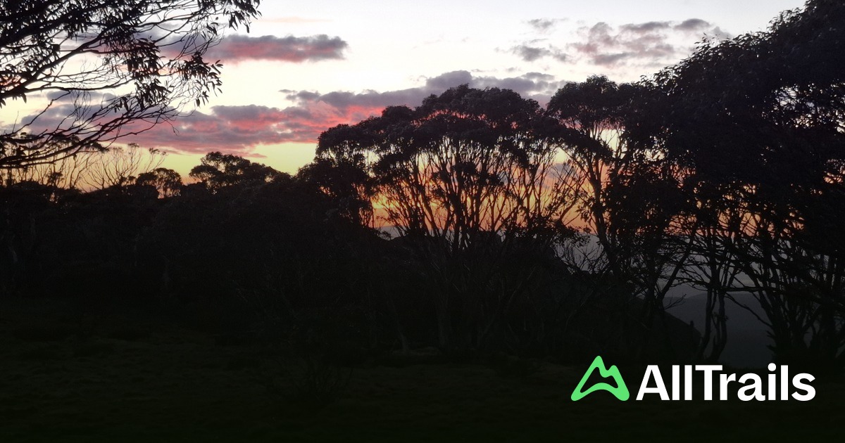 Best hikes and trails in Mount Wills Historic Area | AllTrails