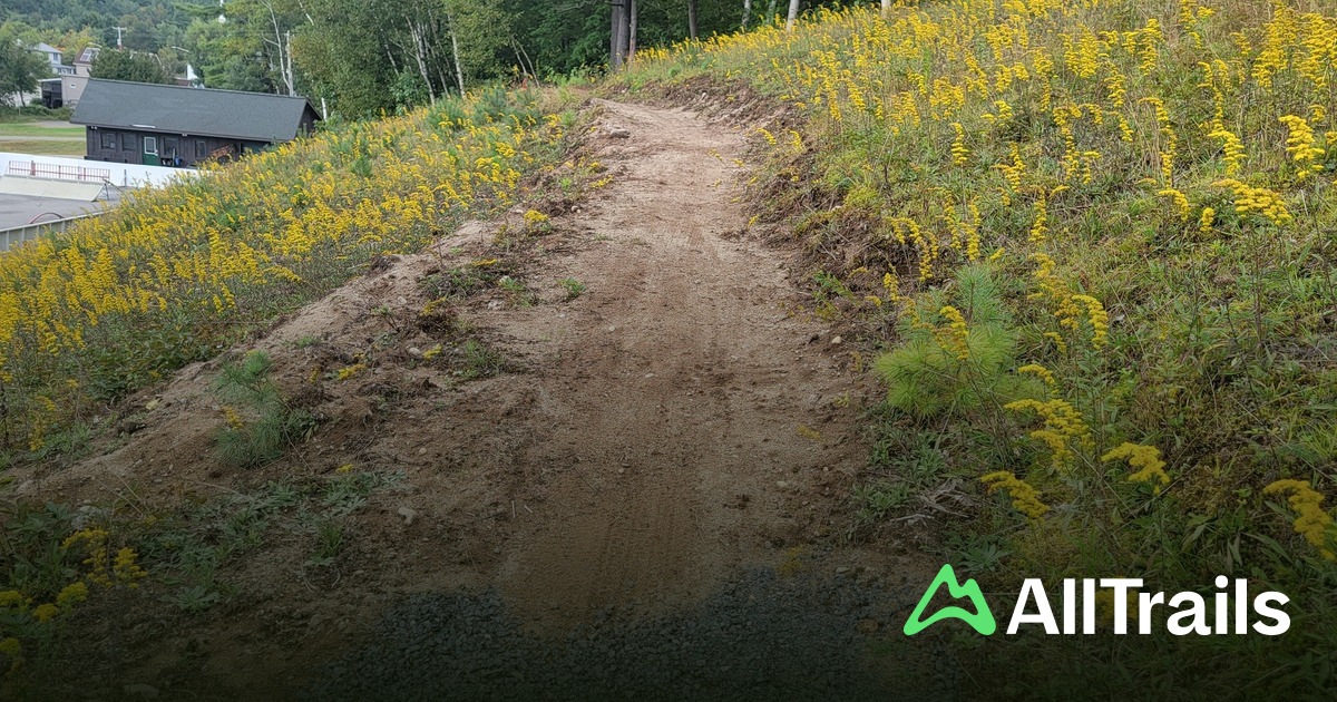 Los mejores senderos fácilesen Mt. Sabattis Recreation Area | AllTrails