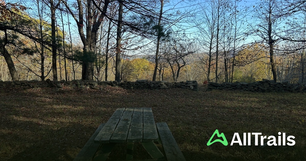 Best hikes and trails in Settles Mountain Nature Preserve | AllTrails