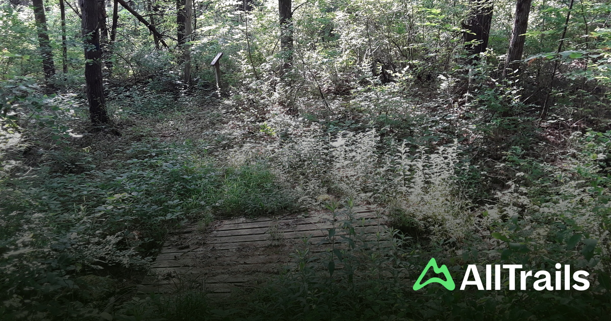 Best hikes and trails in SUNY Cobleskill | AllTrails