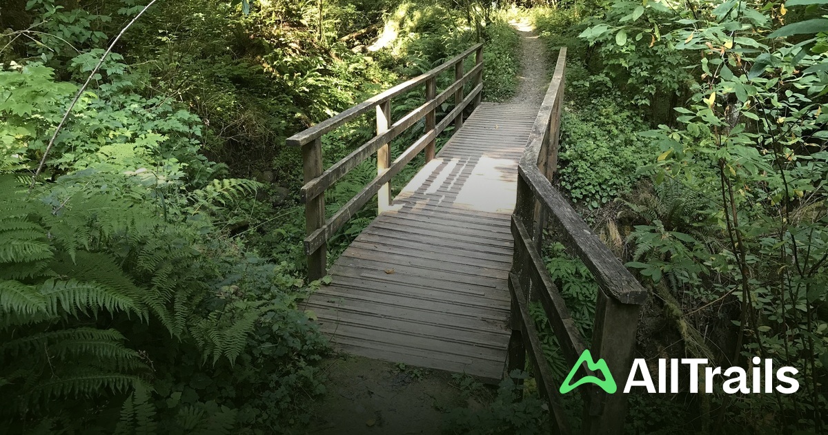 Best bird watching trails in Collins Sanctuary | AllTrails