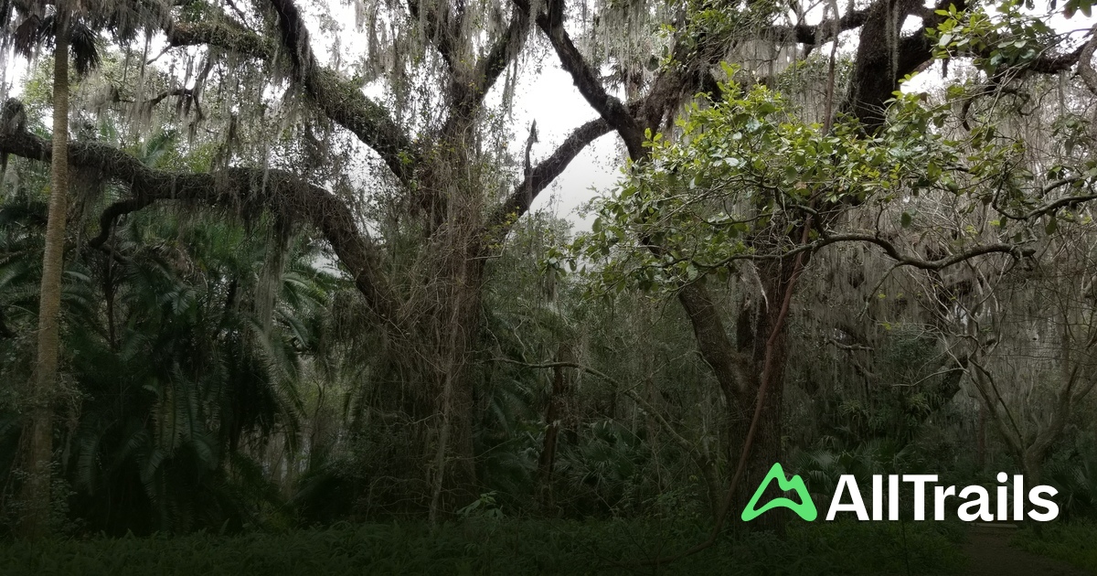 Best hikes and trails in Thornby Park | AllTrails