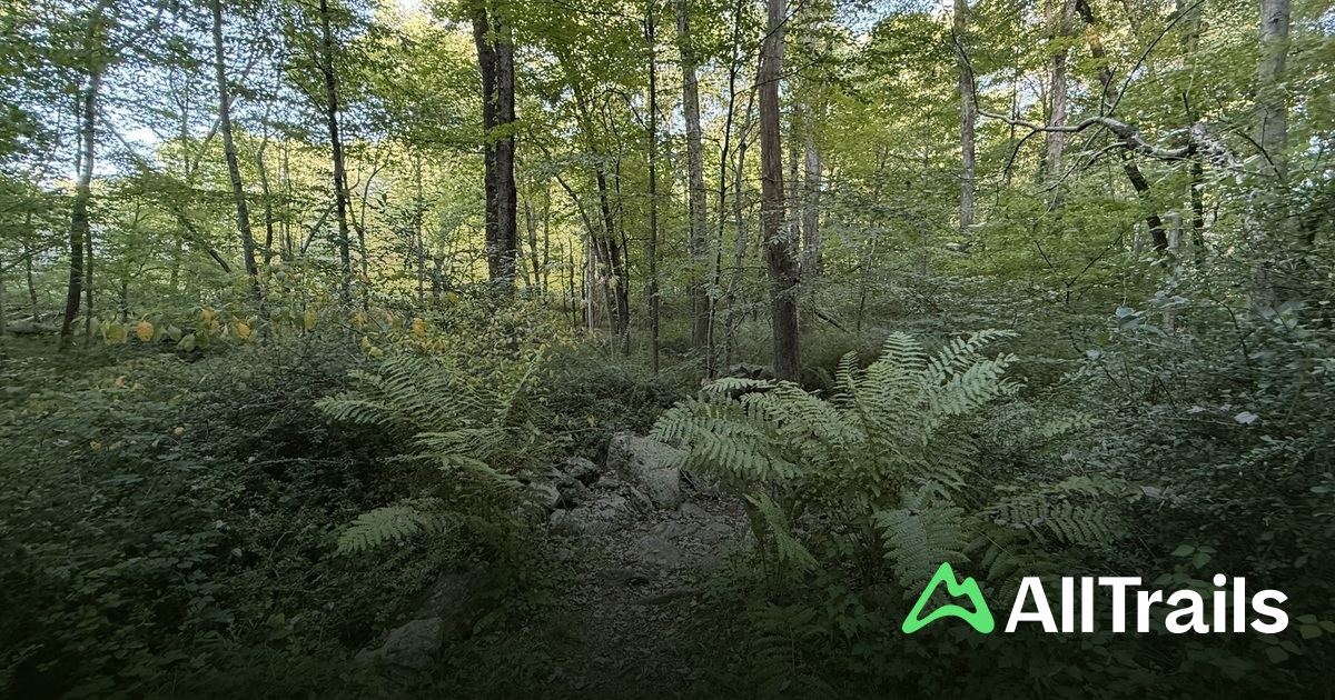 Best hikes and trails in Choate Sanctuary | AllTrails