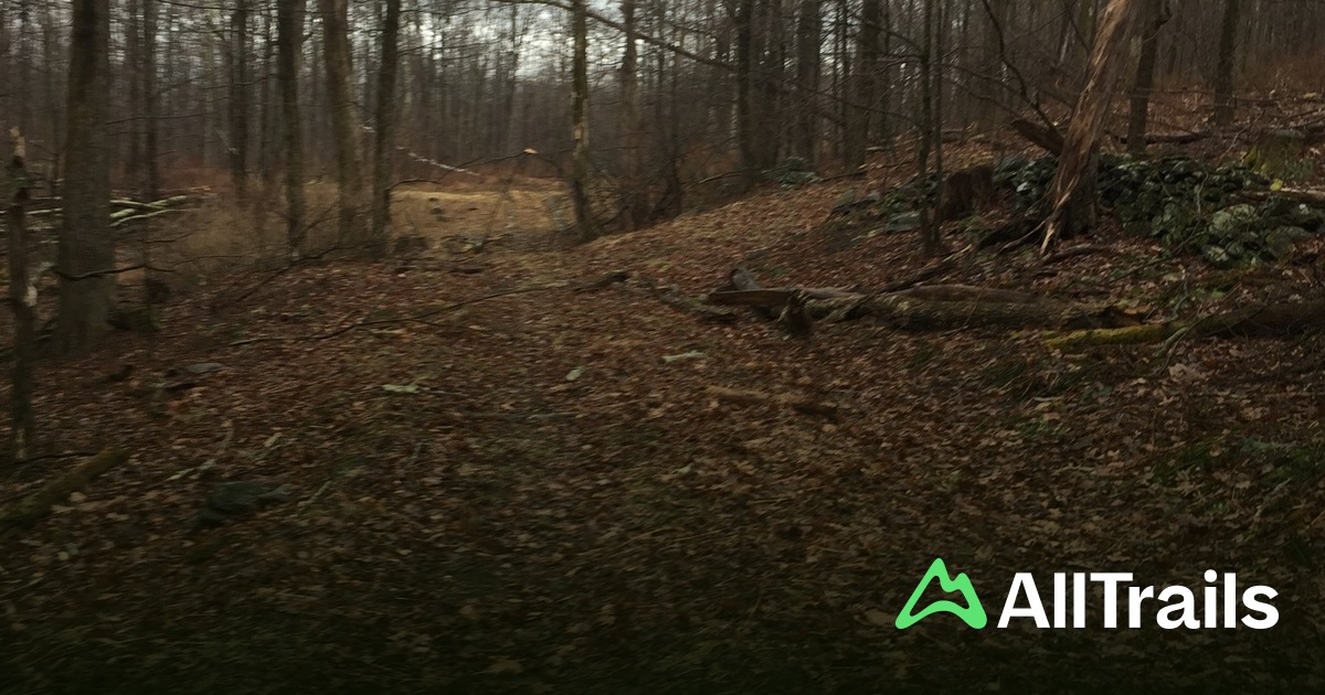 Best hikes and trails in Yoakum Preserve | AllTrails