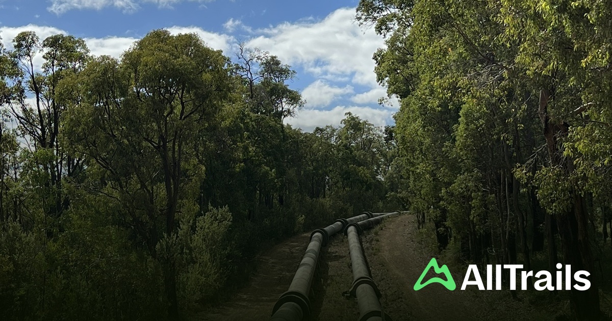 Best hikes and trails in Alps Street Reserve | AllTrails