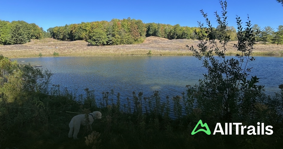 Best hikes and trails in Offield Family Viewlands Working Forest ...