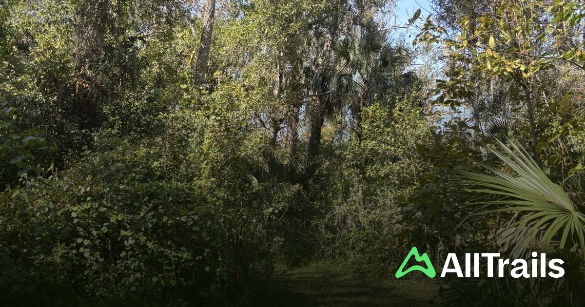 Best hikes and trails in Lake Jem Park & Boat Ramp | AllTrails
