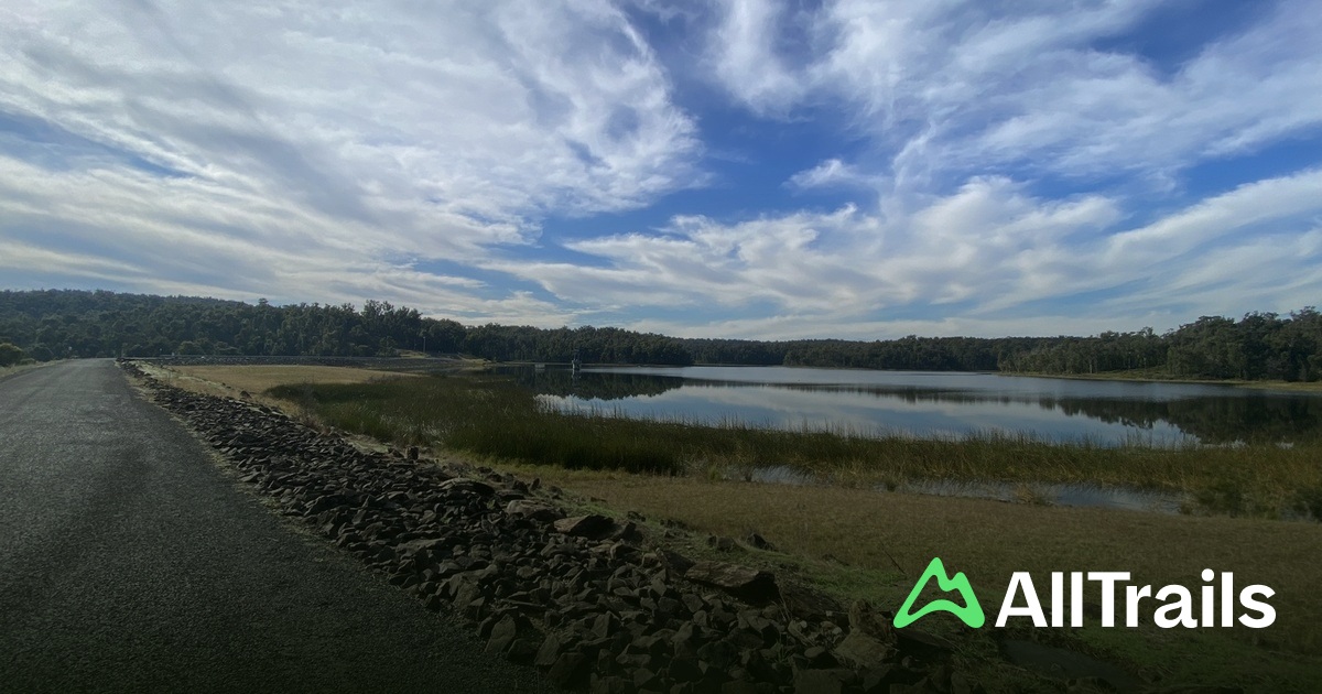 Best lake trails in Mogo State Forest | AllTrails