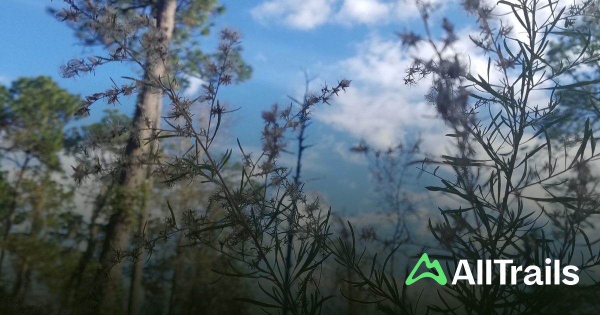 Best forest trails in Natural Area Teaching Laboratory | AllTrails