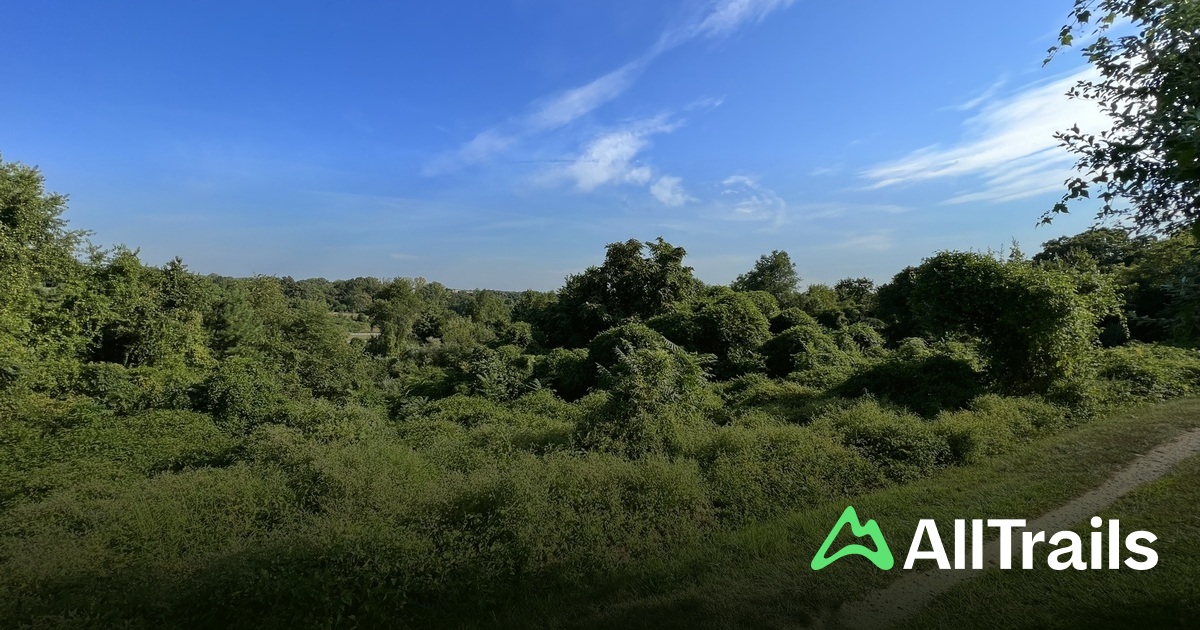 Best forest trails in Laurel Hill Park | AllTrails
