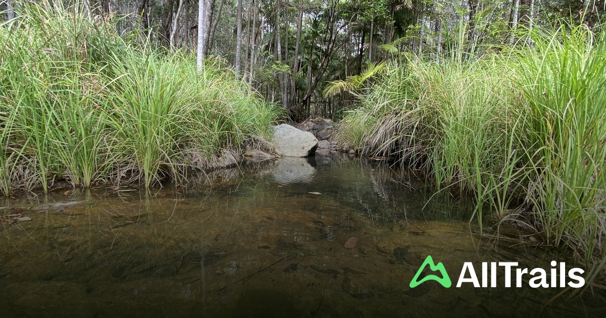 Best hikes and trails in Eagle Heights Conservation Area | AllTrails
