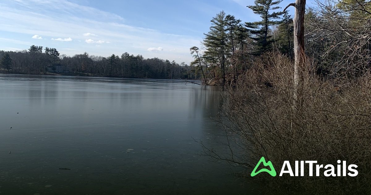 Best hikes and trails in Baldpate Pond State Park | AllTrails