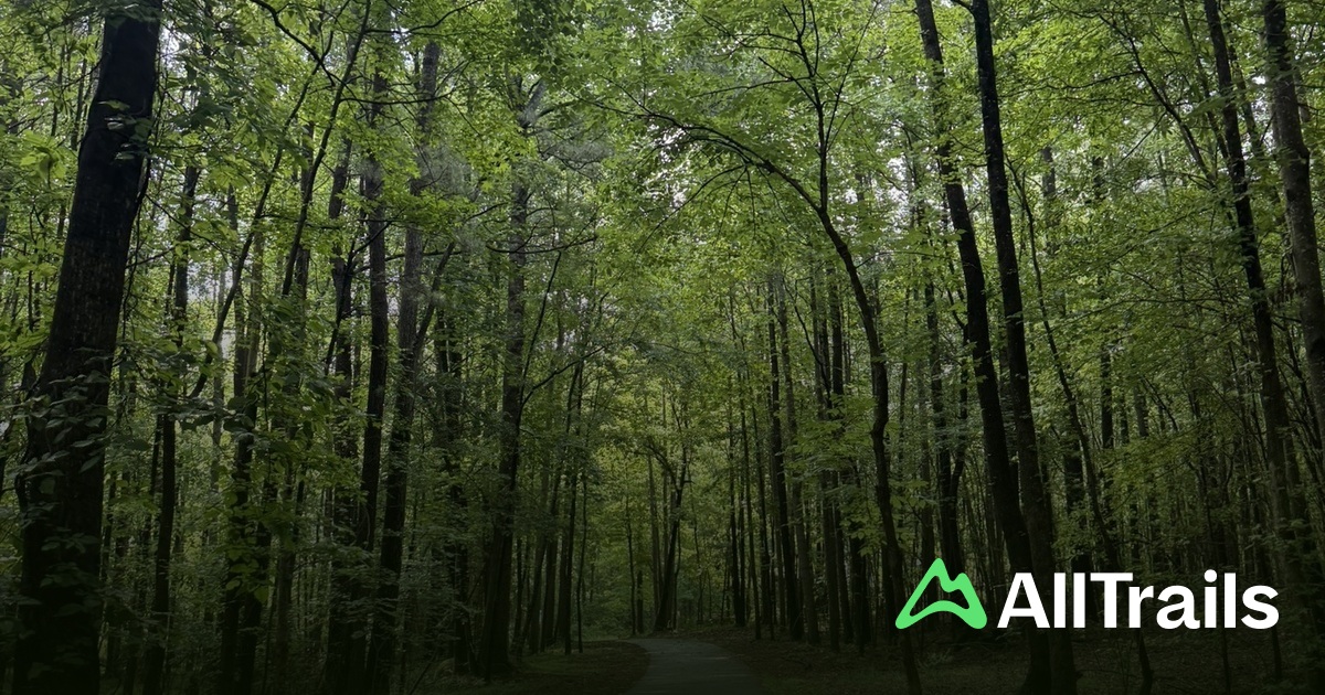 Best hikes and trails in Main Street Park | AllTrails