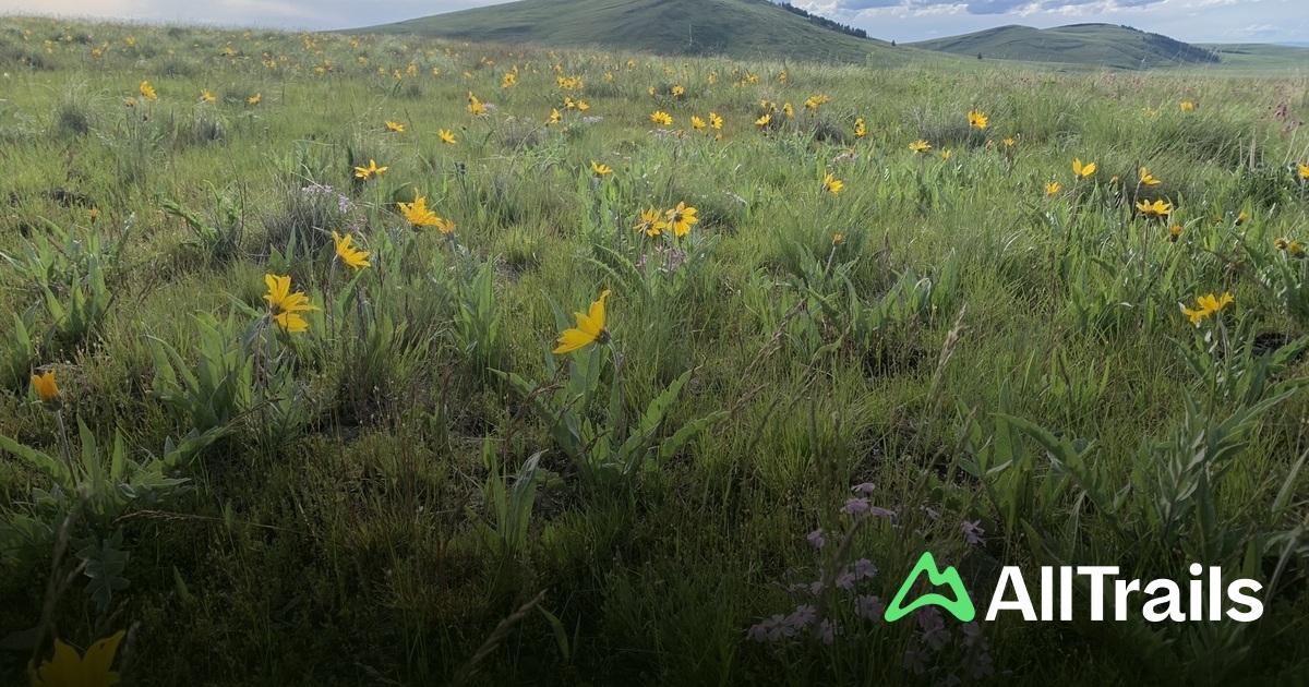 Best hikes and trails in Zumwalt Prairie Preserve | AllTrails