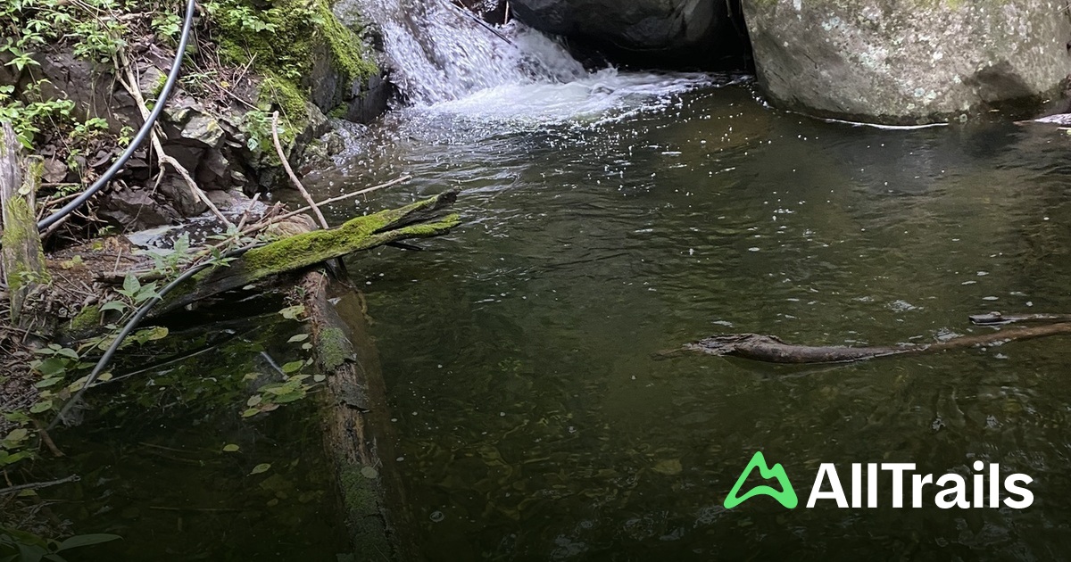 Best camping trails in Área de Protección de Flora y Fauna Sierra de ...