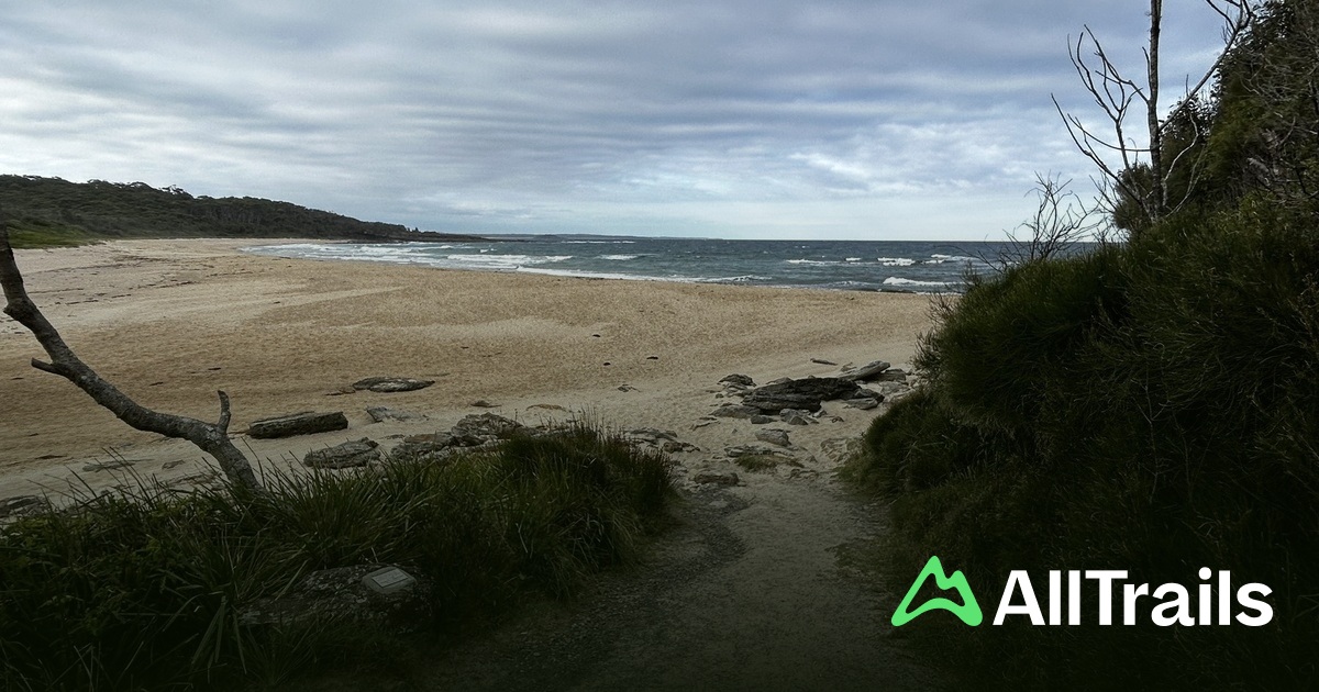 Best hikes and trails in Bawley Point Reserve | AllTrails