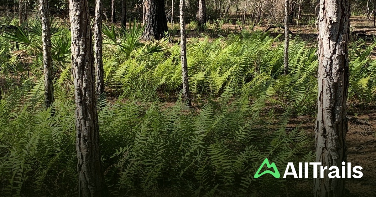 Best hikes and trails in Pine Lily Preserve | AllTrails