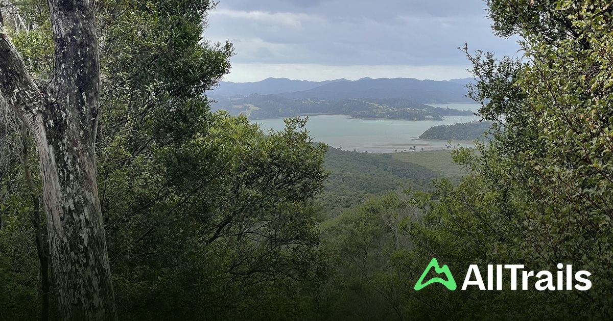 Best hikes and trails in Ōpua Forest Park | AllTrails