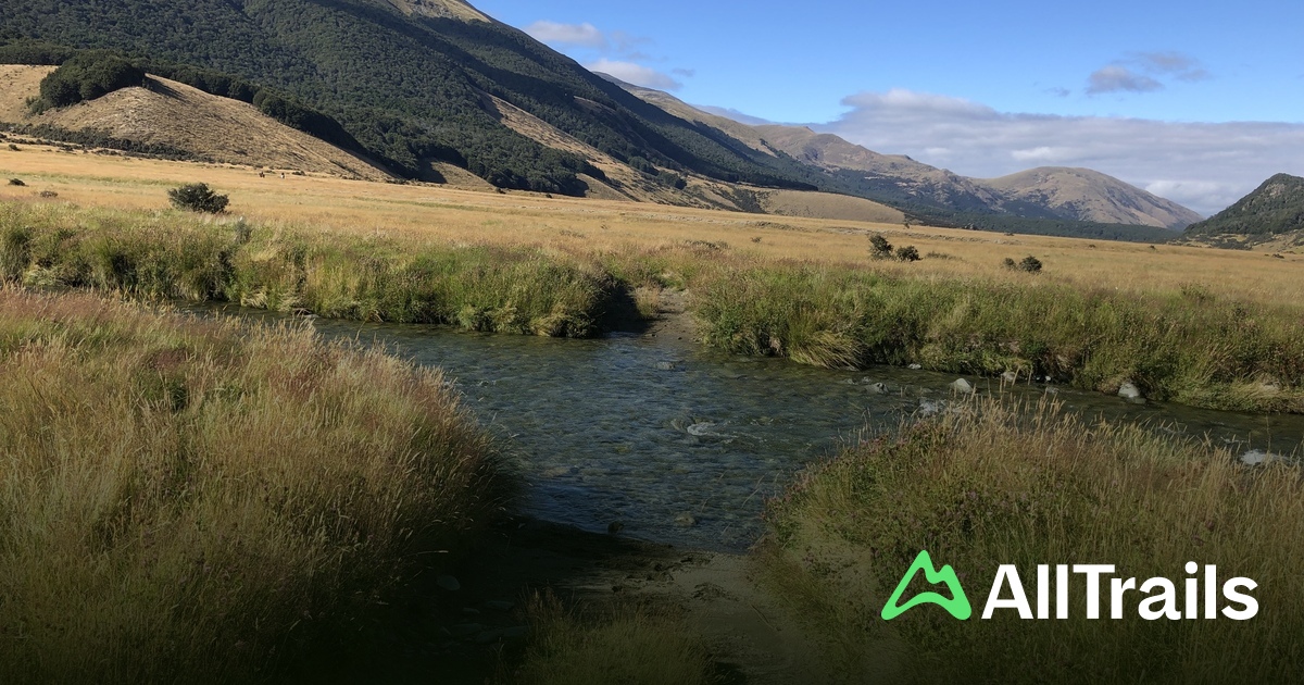 Best hikes and trails in Eyre Mountains/Taka Rā Haka Conservation Park ...