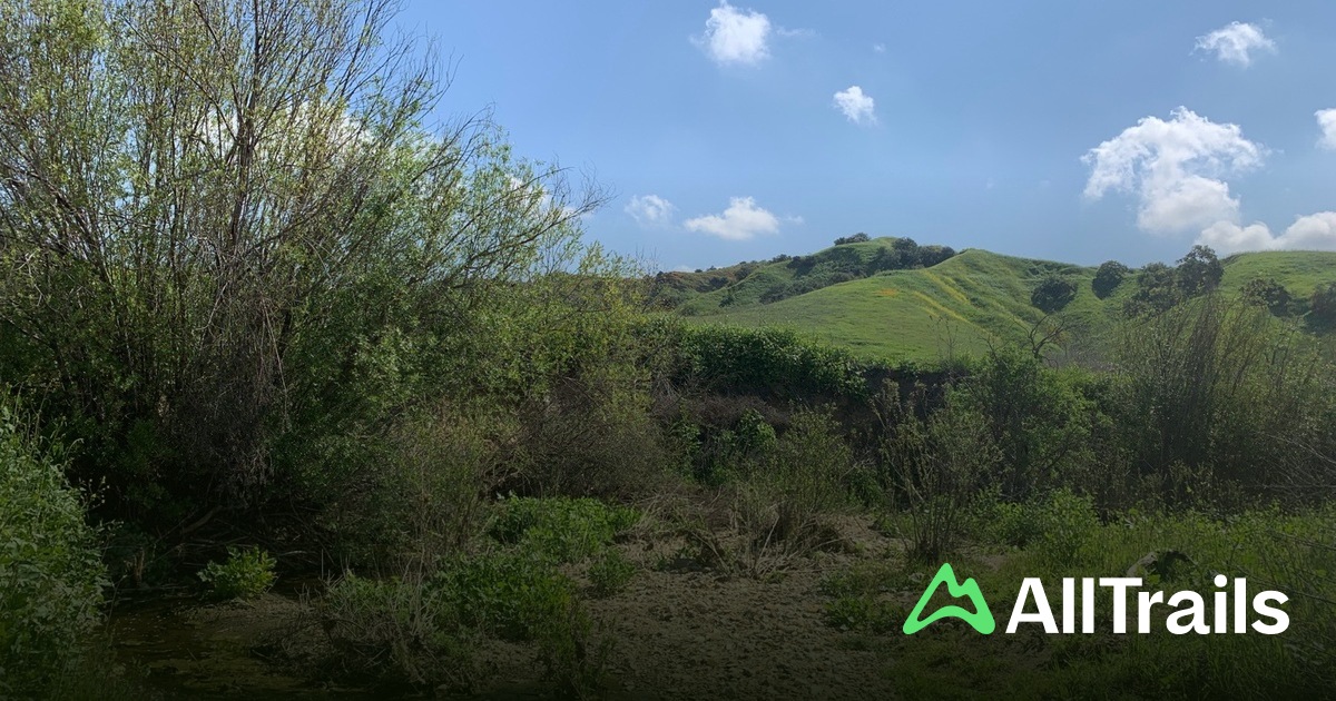 Best hikes and trails in Water Canyon Natural Preserve | AllTrails