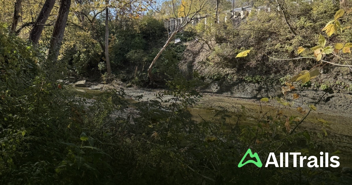 Best hikes and trails in Sebald MetroPark | AllTrails