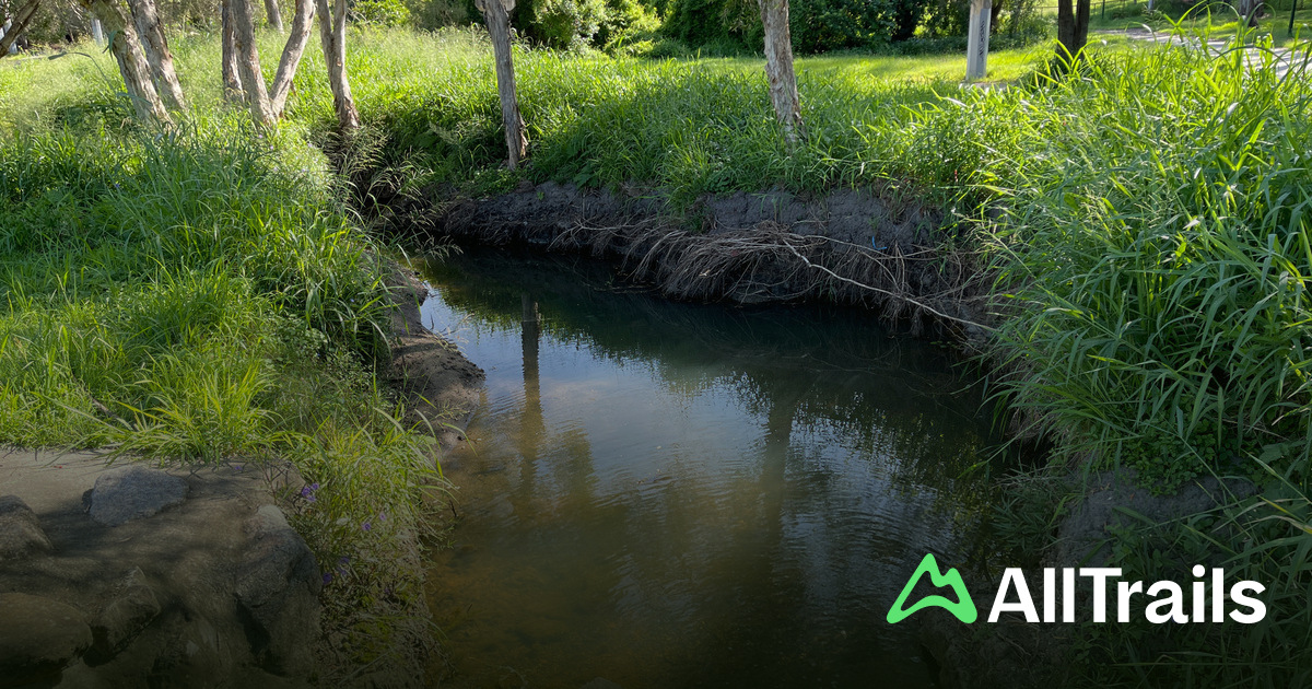 Best hikes and trails in Ashridge Road Park | AllTrails
